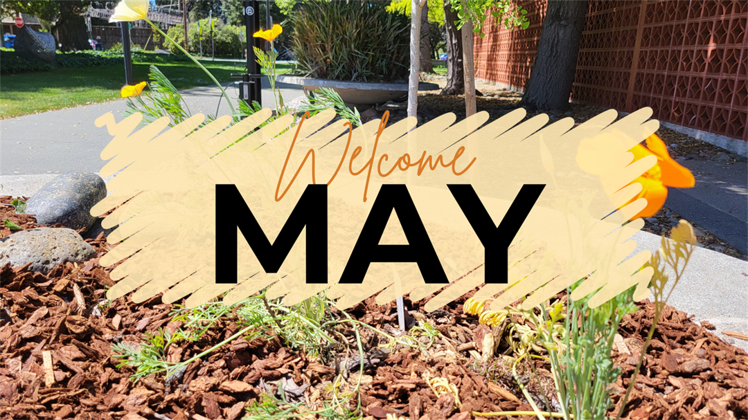 May Events & Activities – City of Palo Alto, CA