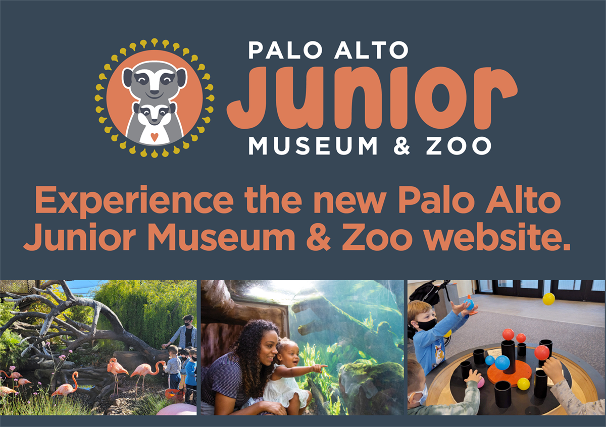 Experience the New Palo Alto Junior Museum & Zoo Website – City of Palo ...