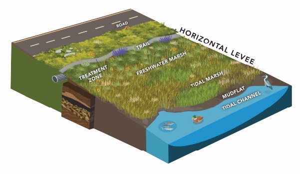 Palo Alto Horizontal Levee Pilot Project – City of Palo Alto, CA