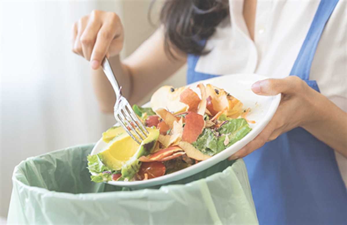 Residential Food Scraps Collection – City of Palo Alto, CA